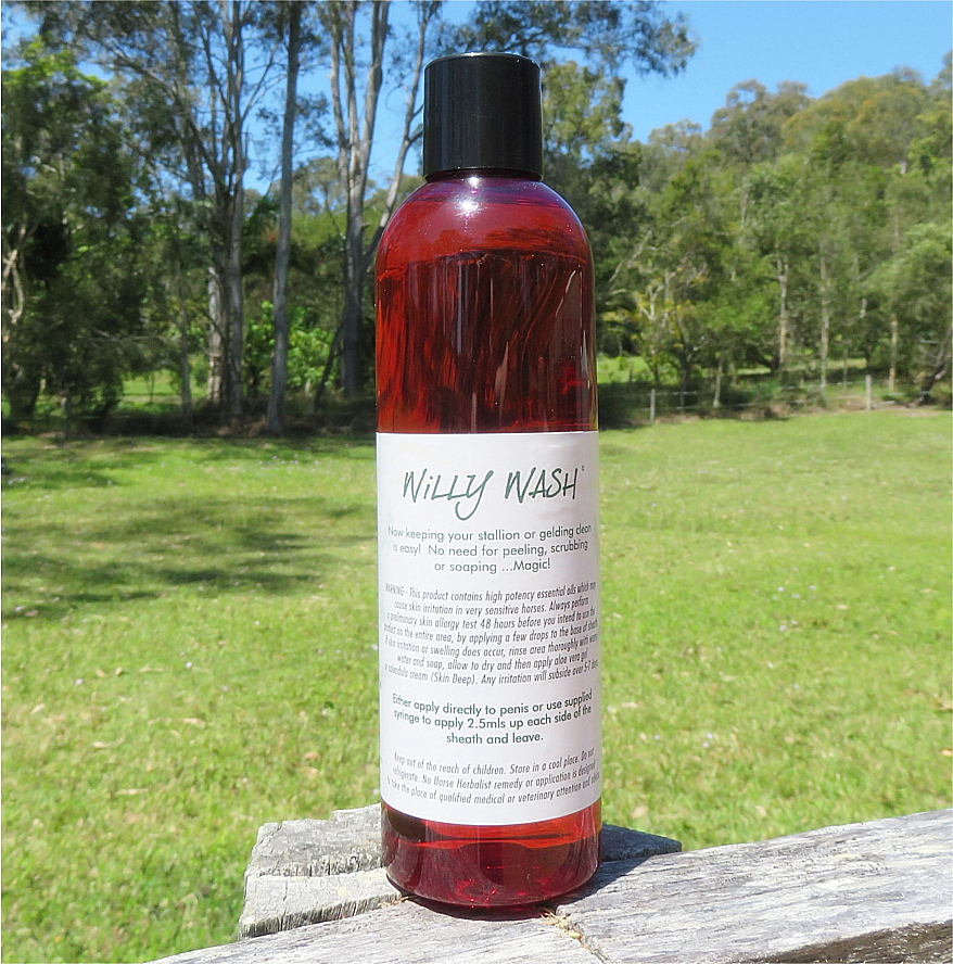 Willy Wash 250ml | Greenpet