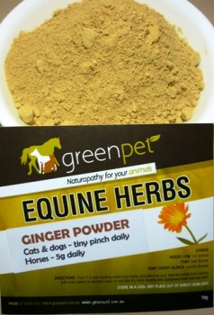 Ginger Powder - 1kg | Greenpet