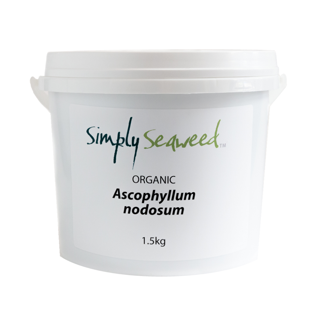 Simply Seaweed Dental Powder | Greenpet